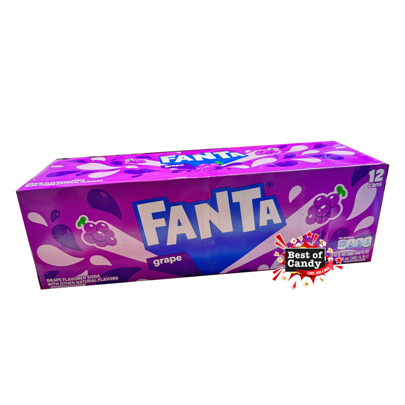 Fanta Grape 355ml 12er Pack